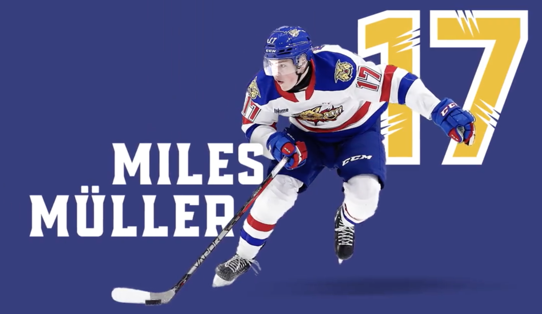 ️ CHL - 50ème point pour Miles Mueller, combat pour Rodwin Dionicio ...
